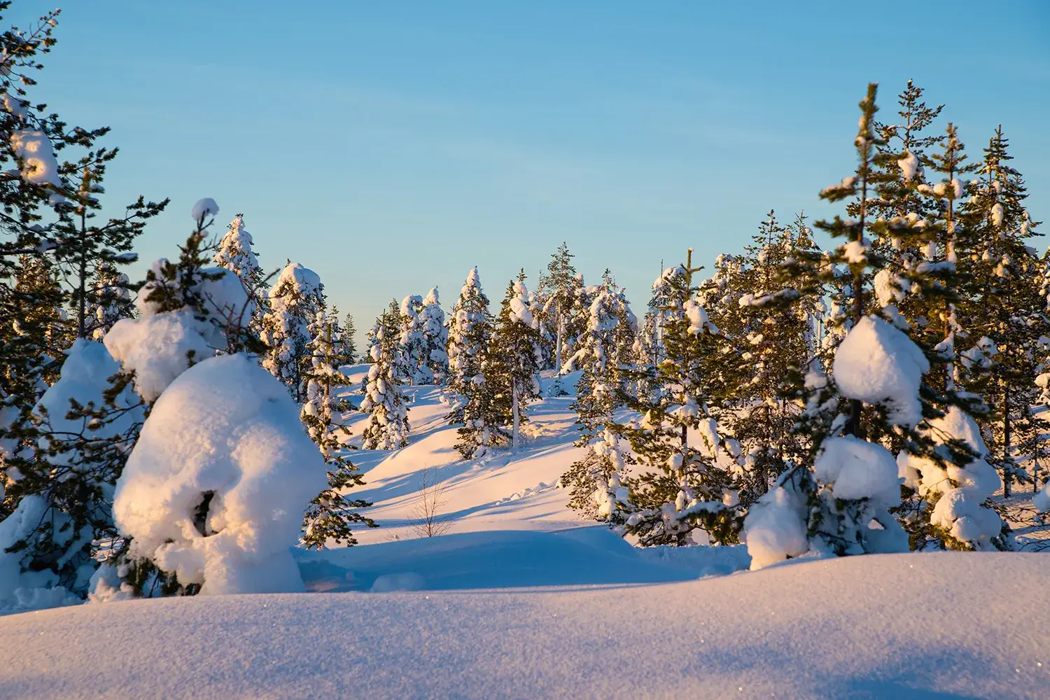 Séjour en Laponie : Découverte de Rovaniemi Arctic City hotel 4*