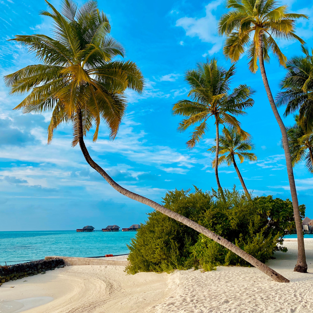 Maldives