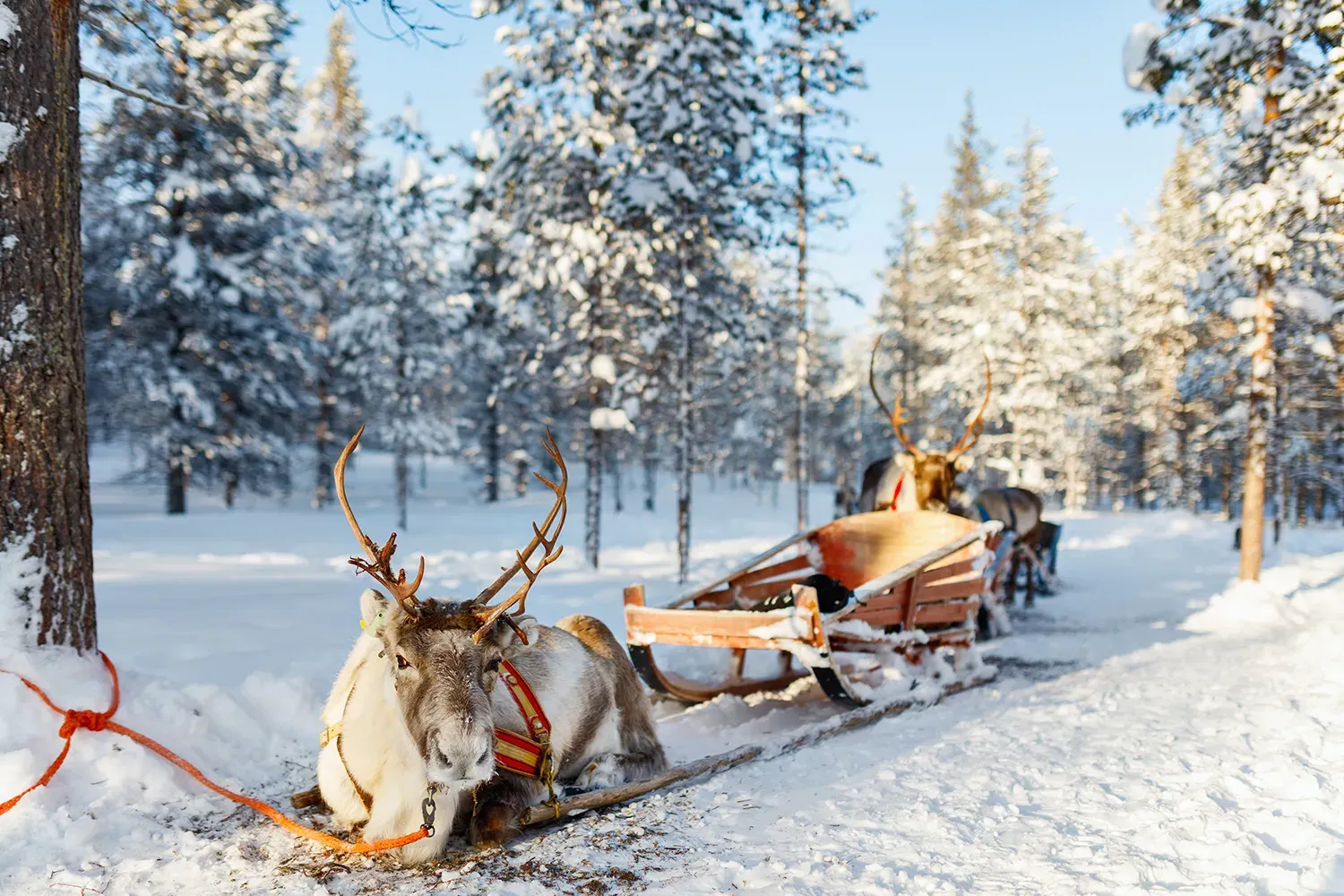 Séjour en Laponie : Découverte de Rovaniemi Arctic City hotel 4*